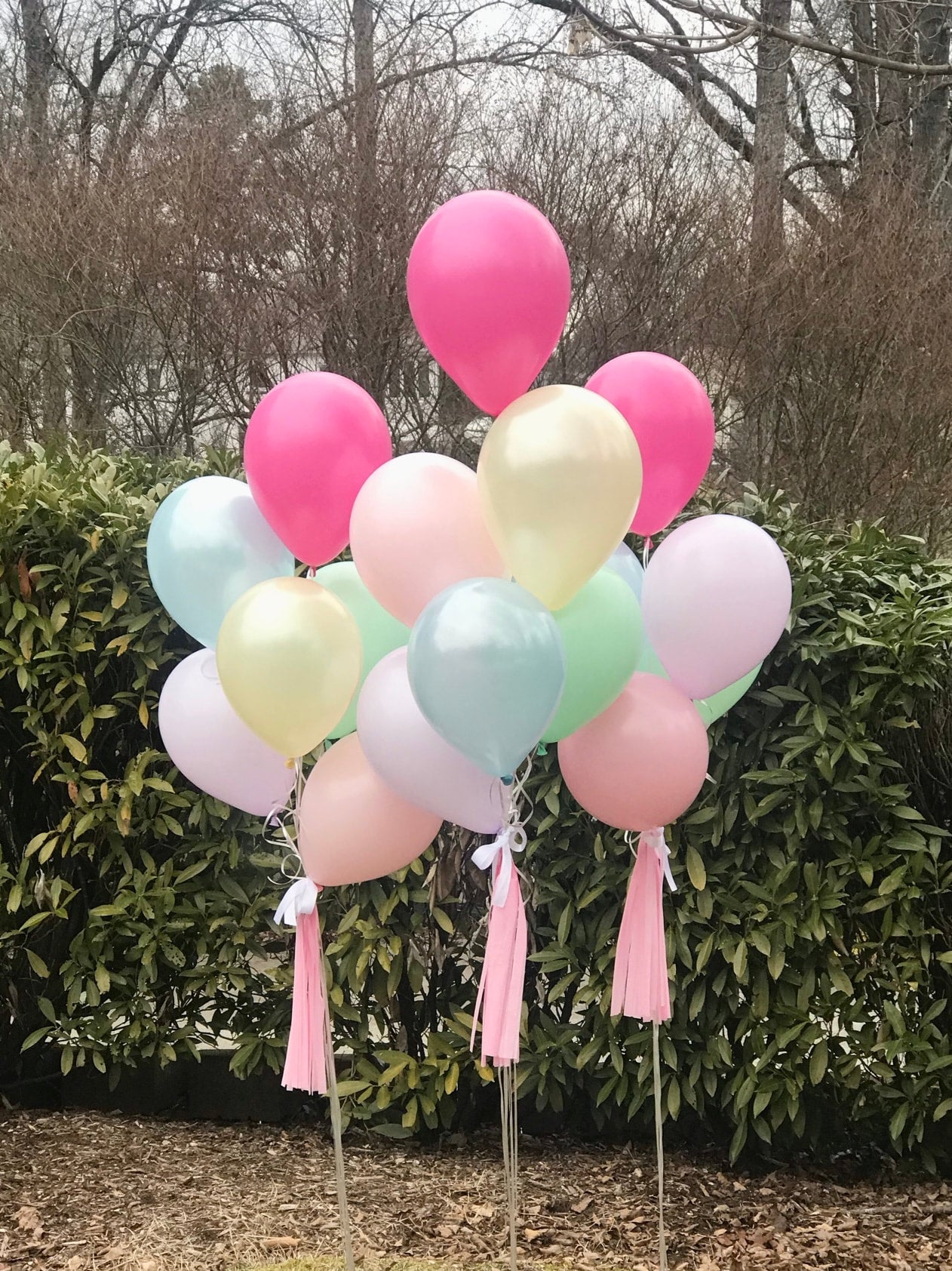 11" standard oval latex balloon(s) | The Balloon Garden
