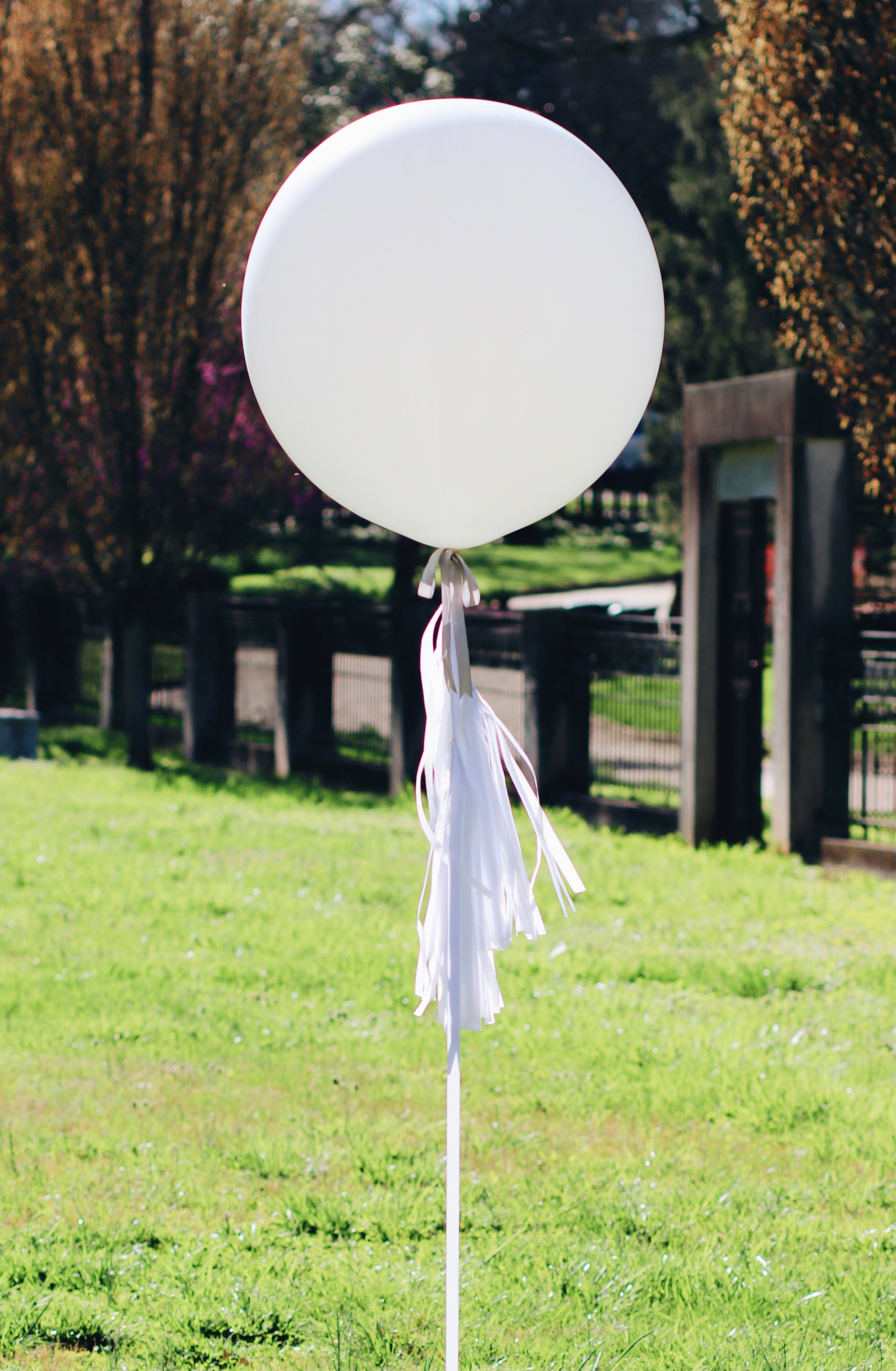 Medium Solid Balloon | The Balloon Garden